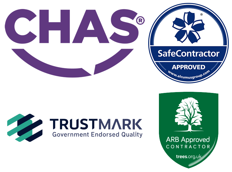 Pittman Trees - Tree Surgeons – Tree Surgery - ARB Approved ...