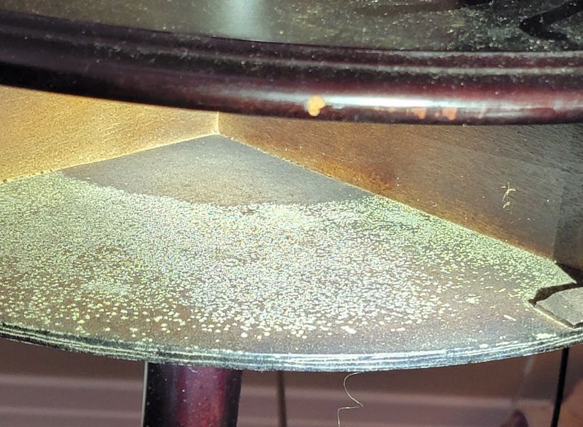 Tackling Mold Removal for Complete Property Recovery | Chris' Carpet ...