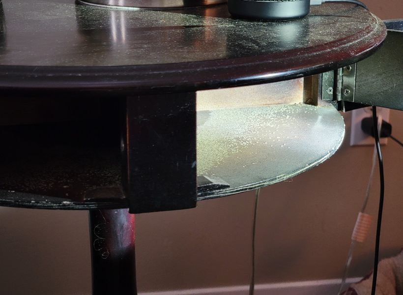 Tackling Mold Removal for Complete Property Recovery | Chris' Carpet ...