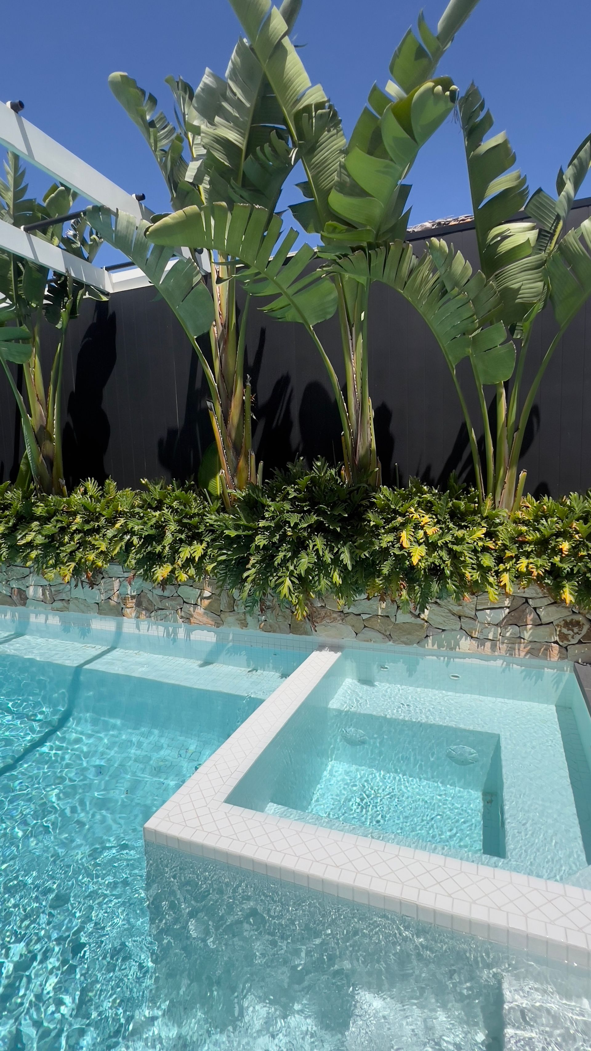 Pools and Spas Gallery in Adelaide | Adelaide Classic Pools