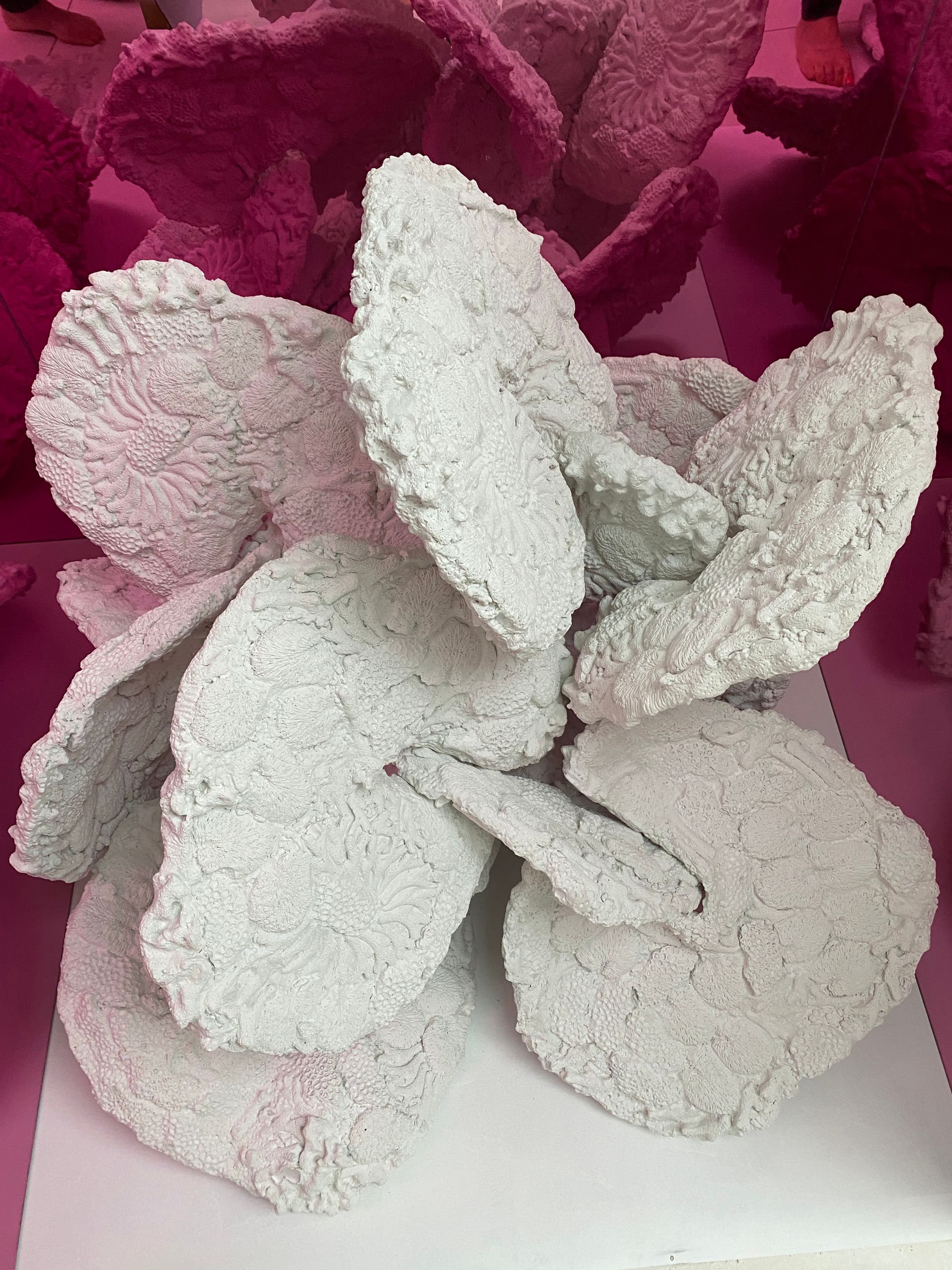Coral Bleaching Installation | Sally de Courcy Artist