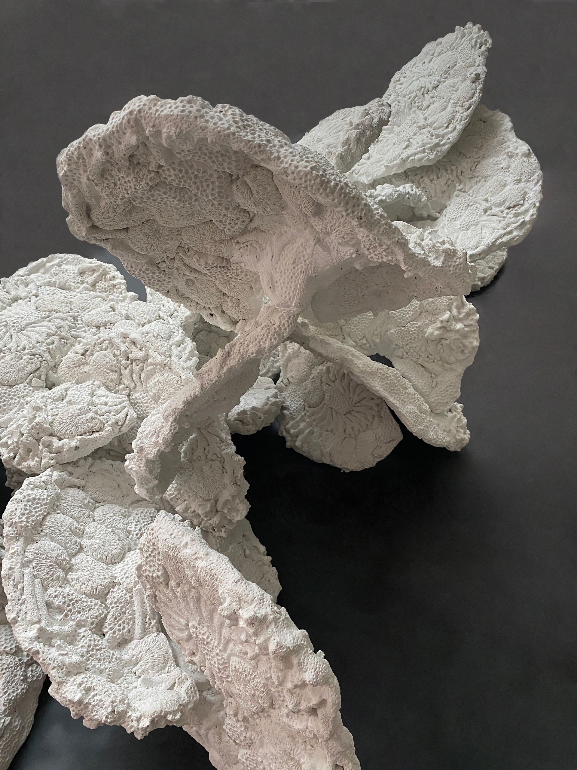 Installation Art | Sally de Courcy Artist | London & UK