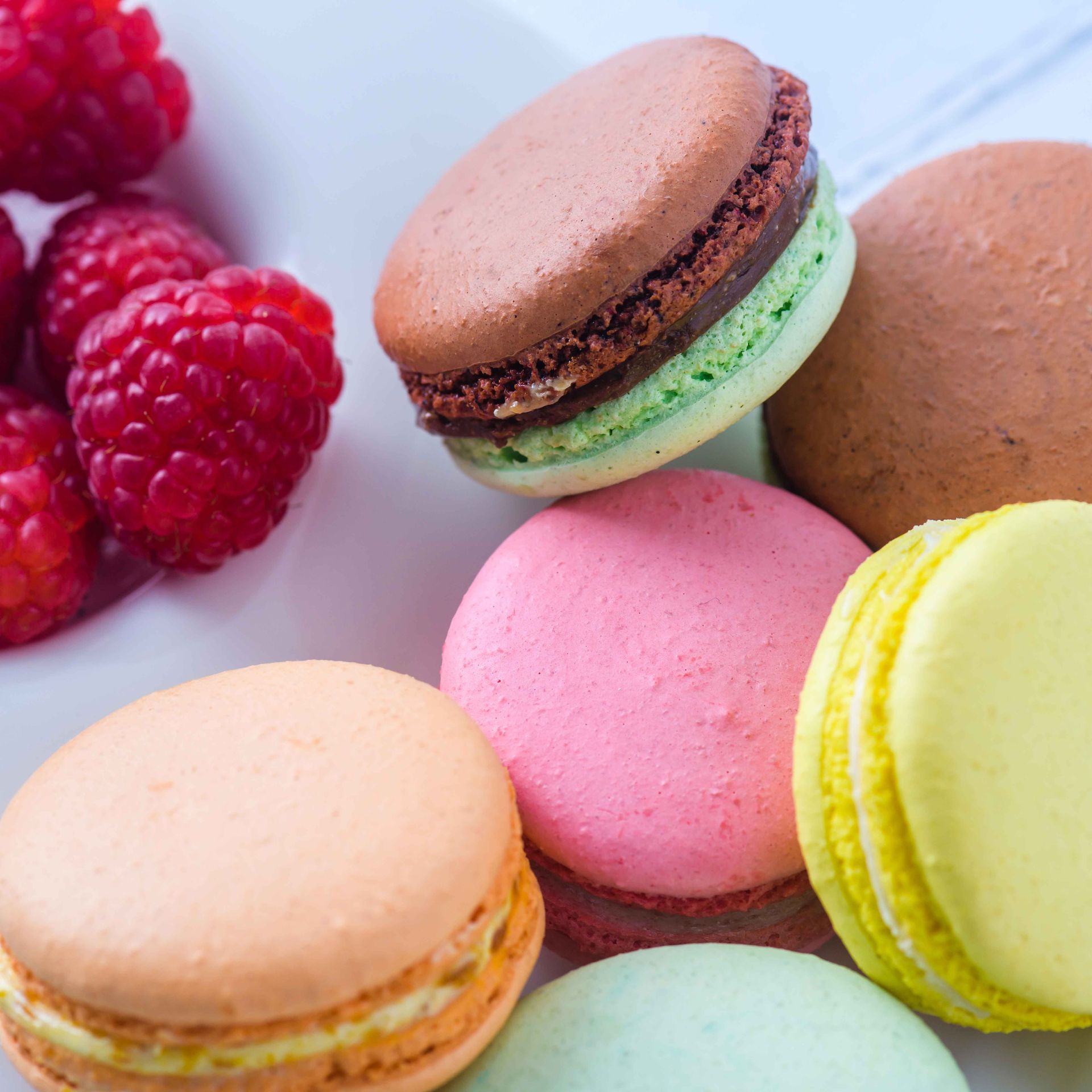 The home of artisan chocolates & macaroons | Ilze's Chocolat