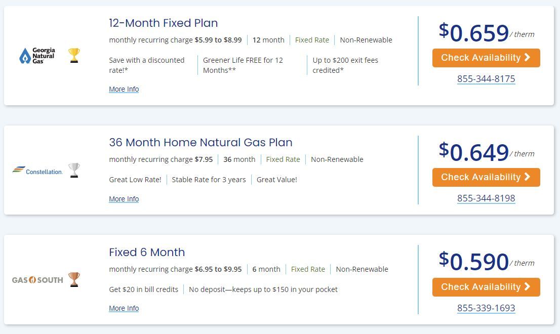 Who's Who in the Georgia Natural Gas Market | Know the Gas Entities