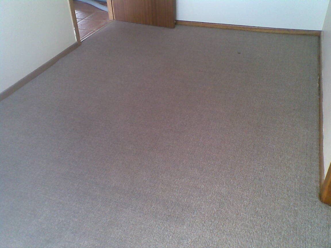 Gallery | Gava Professional Carpet Cleaning & Pest Control | Lismore