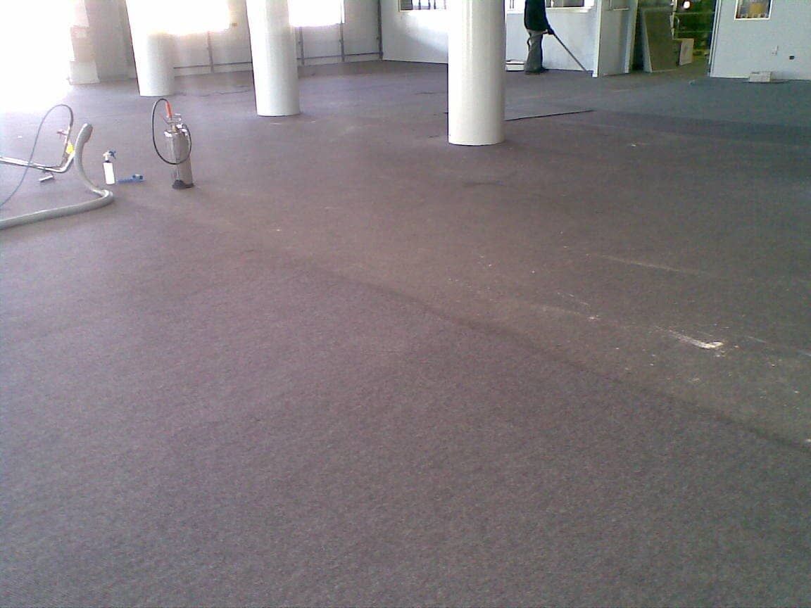 Gallery | Gava Professional Carpet Cleaning & Pest Control | Lismore