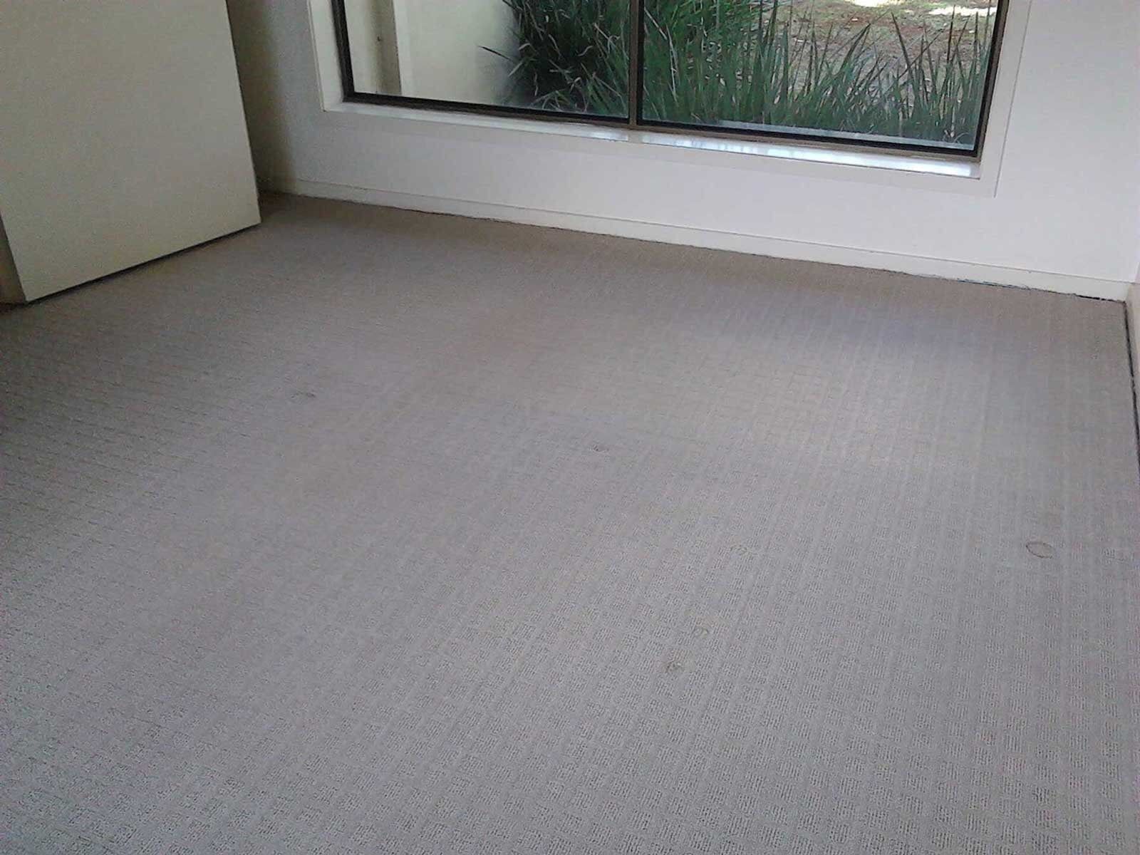 Gallery | Gava Professional Carpet Cleaning & Pest Control | Lismore