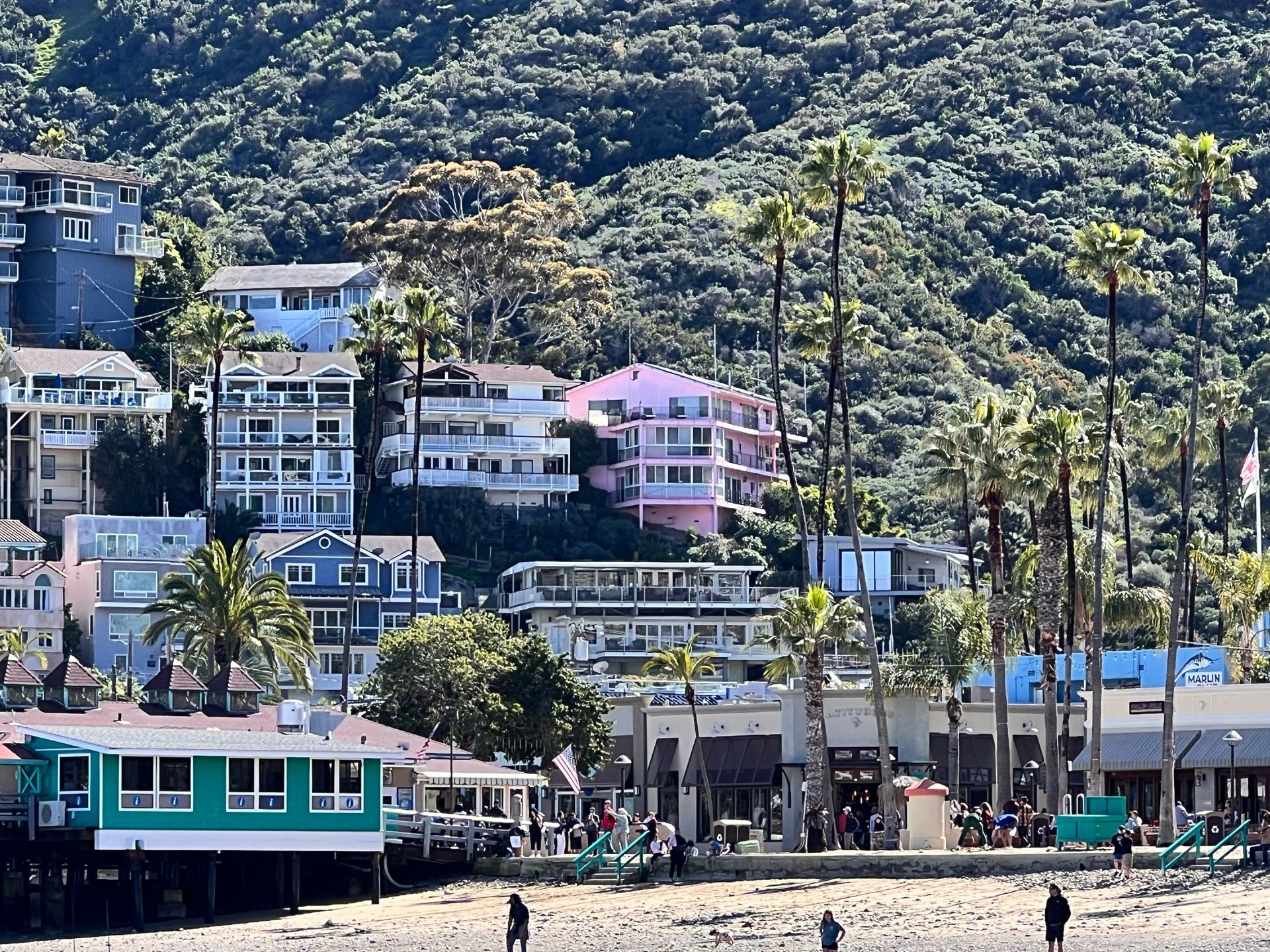 Home | Pink House Properties Inc | Long Beach, CA