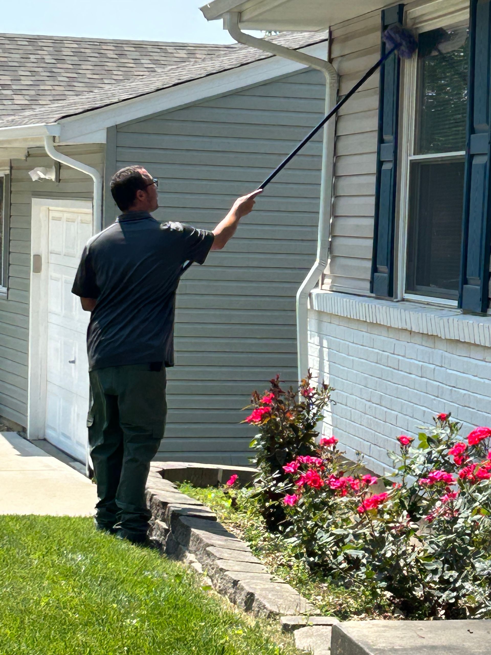Pest Control & Removal| Buckingham Pest Control | STL