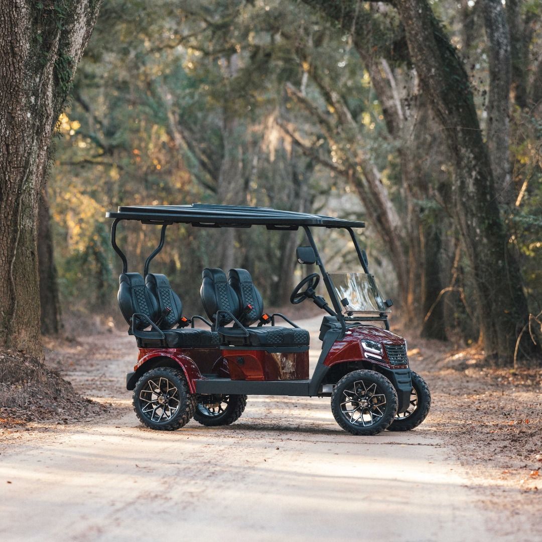 HOME [www.premiumgolfcartcompany.com]