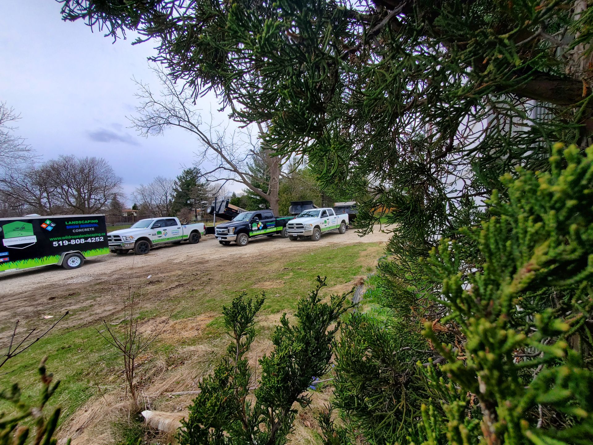 About Us | Wildroses Landscaping