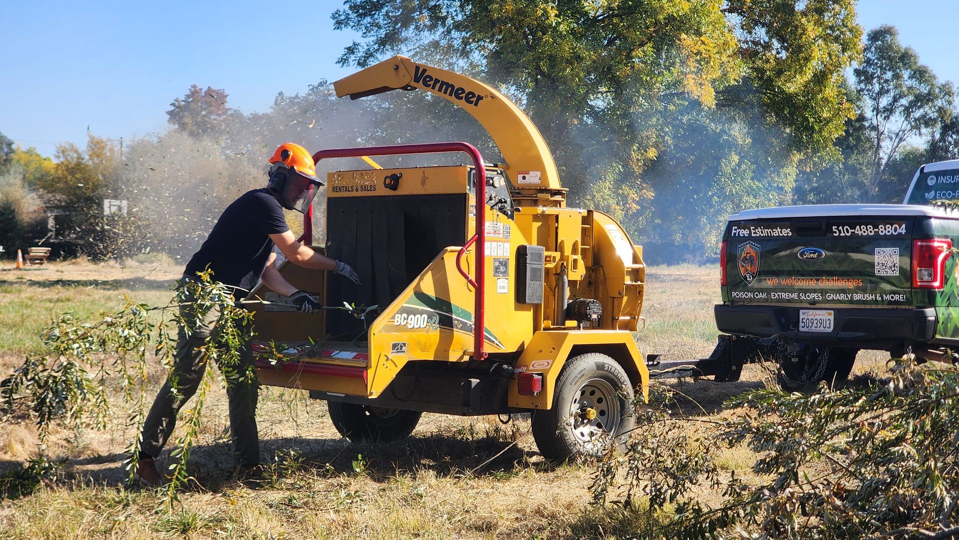 Expert Tree Service | Dominion Brush Clearing