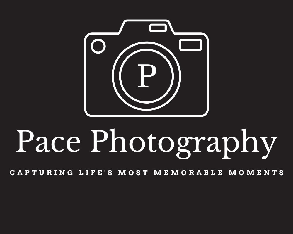 Gallery of our Website Work | Website and SEO Services