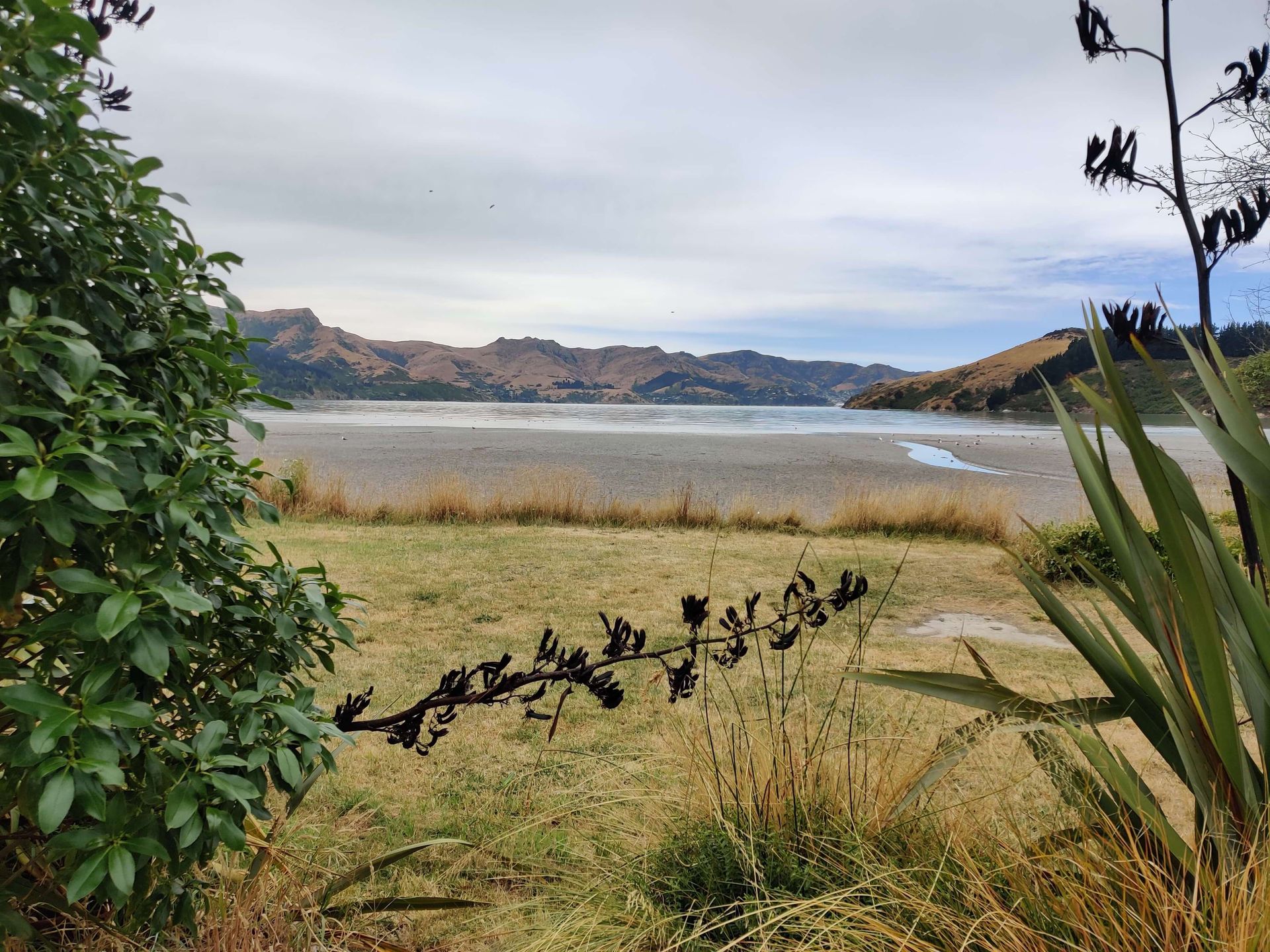 Accessible Attractions | Wheelie Accessible | NZ & AU