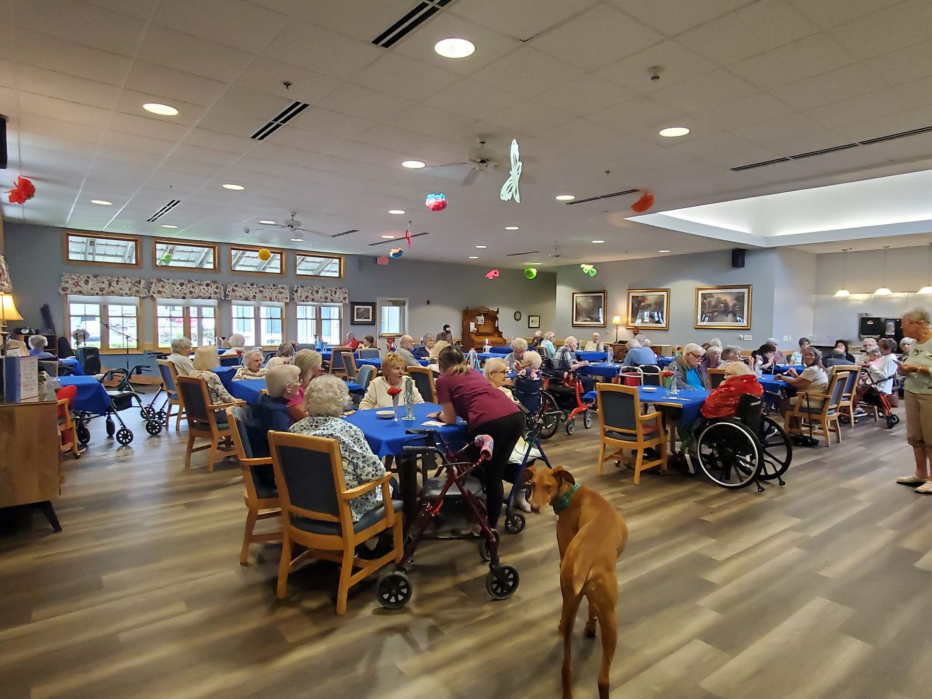 Senior Living Gallery | Middleville, MI | Carveth Village