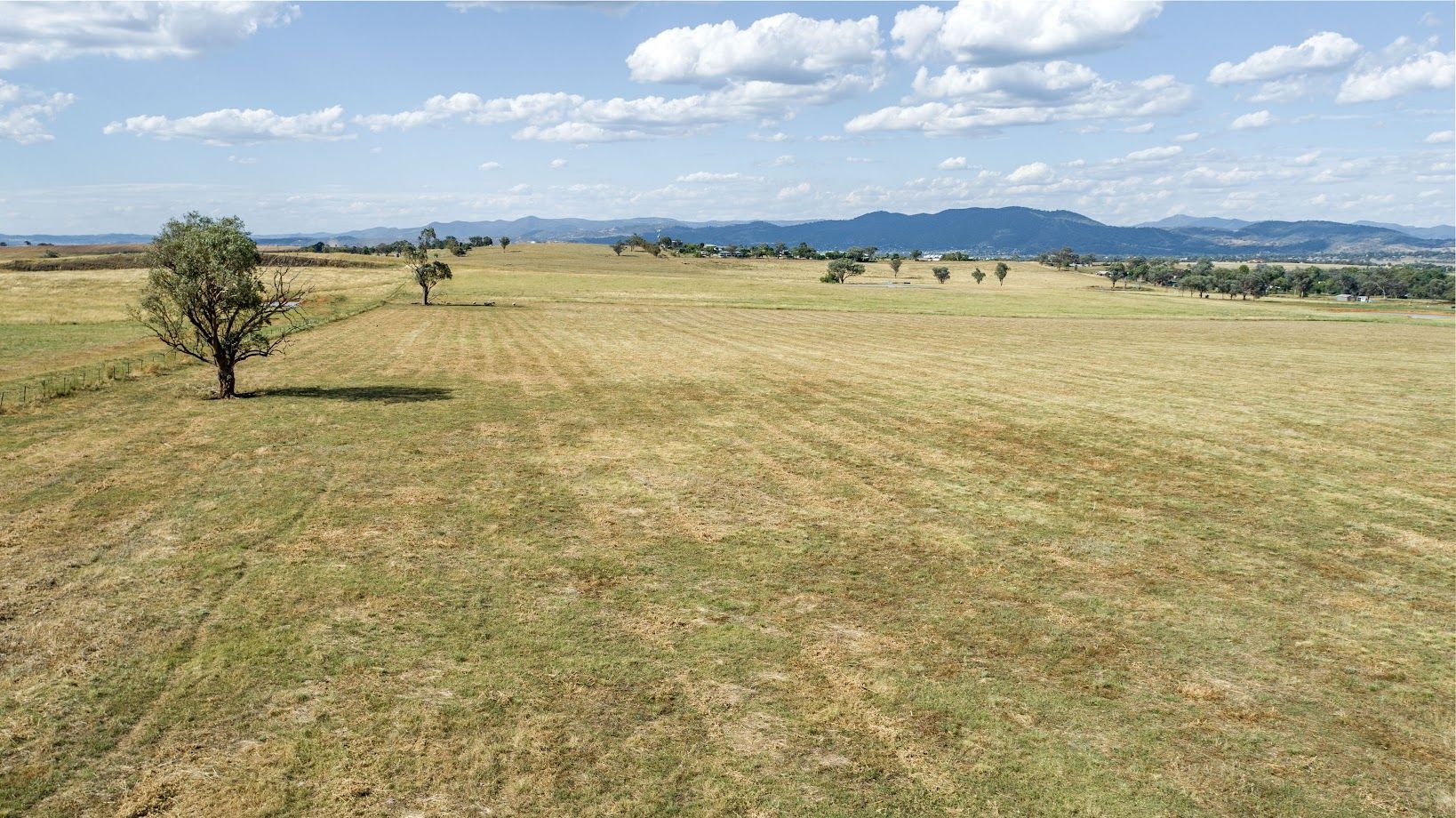 Livestock and Rural Property Agent