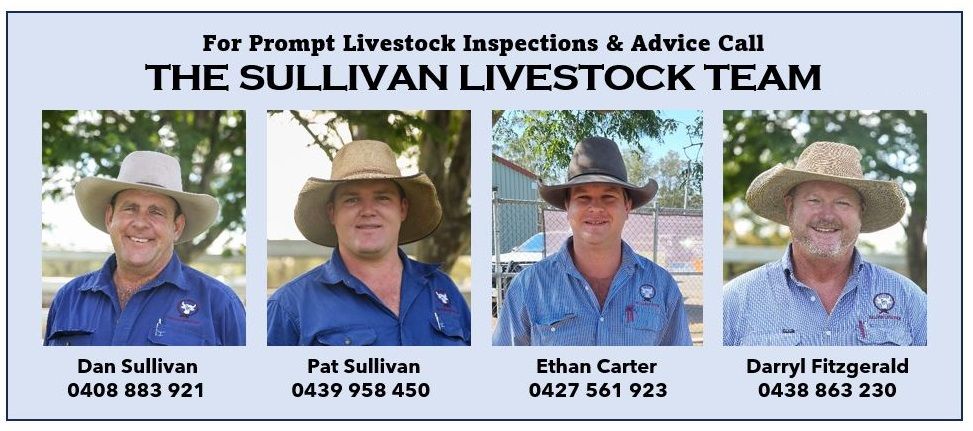 Contact Us | Sullivan Livestock and Rural Services