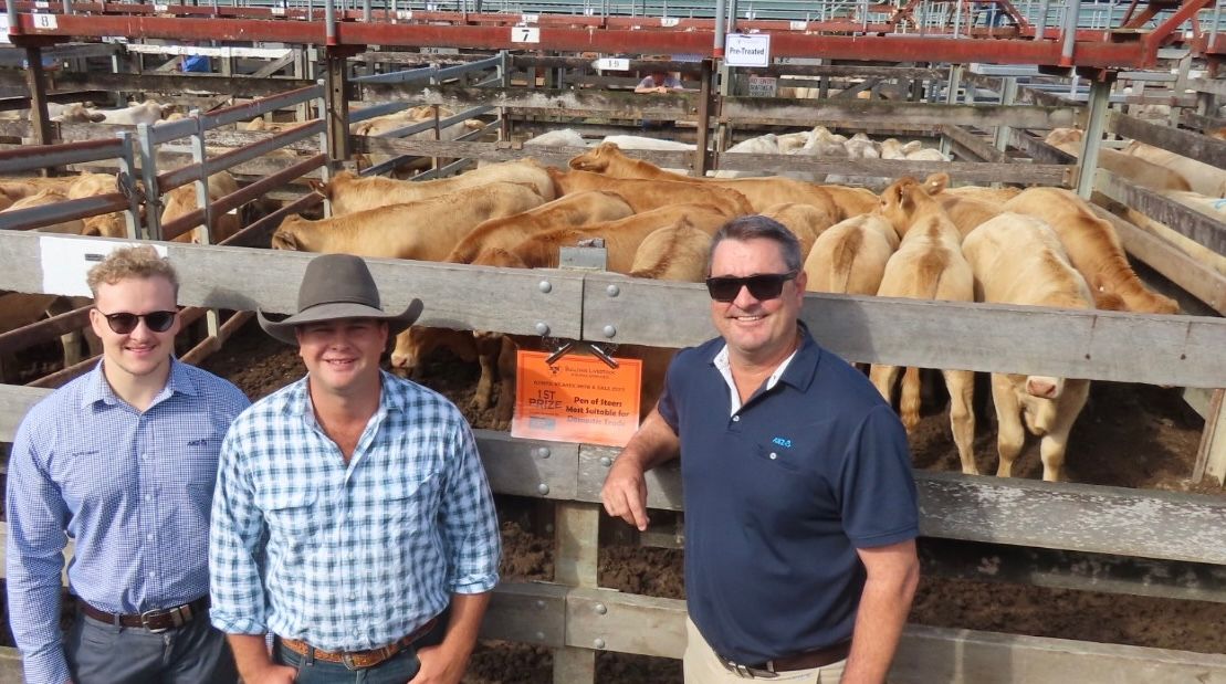 Market Reports & Industry News | Sullivan Livestock and Rural Services