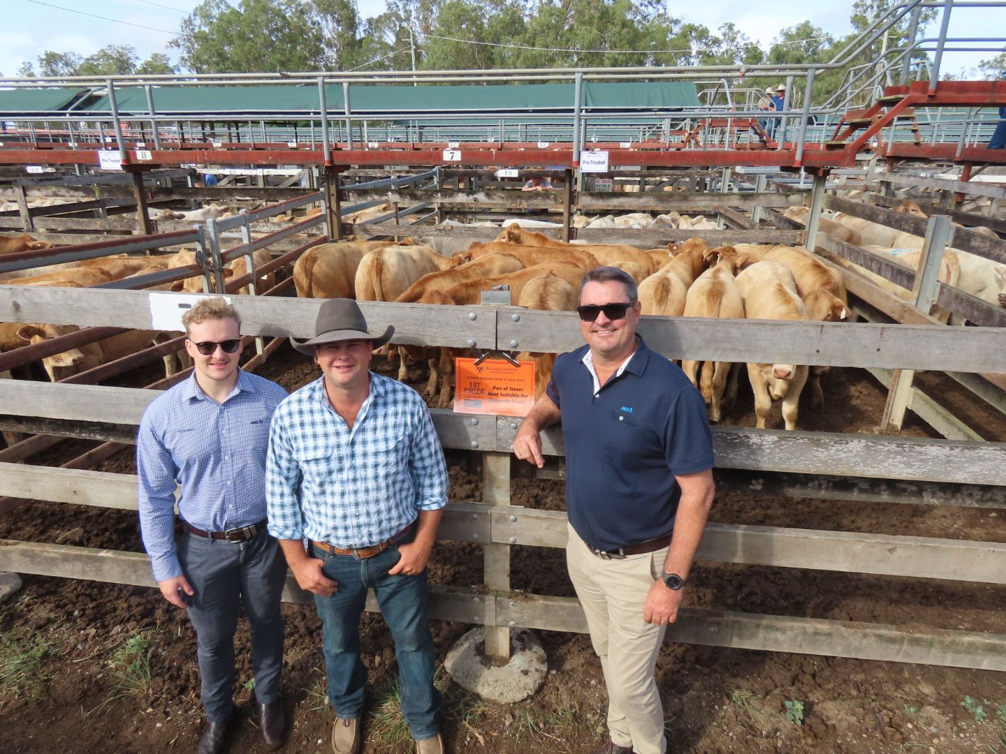 Market Reports & Industry News | Sullivan Livestock and Rural Services