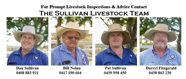 Contact Us | Sullivan Livestock and Rural Services