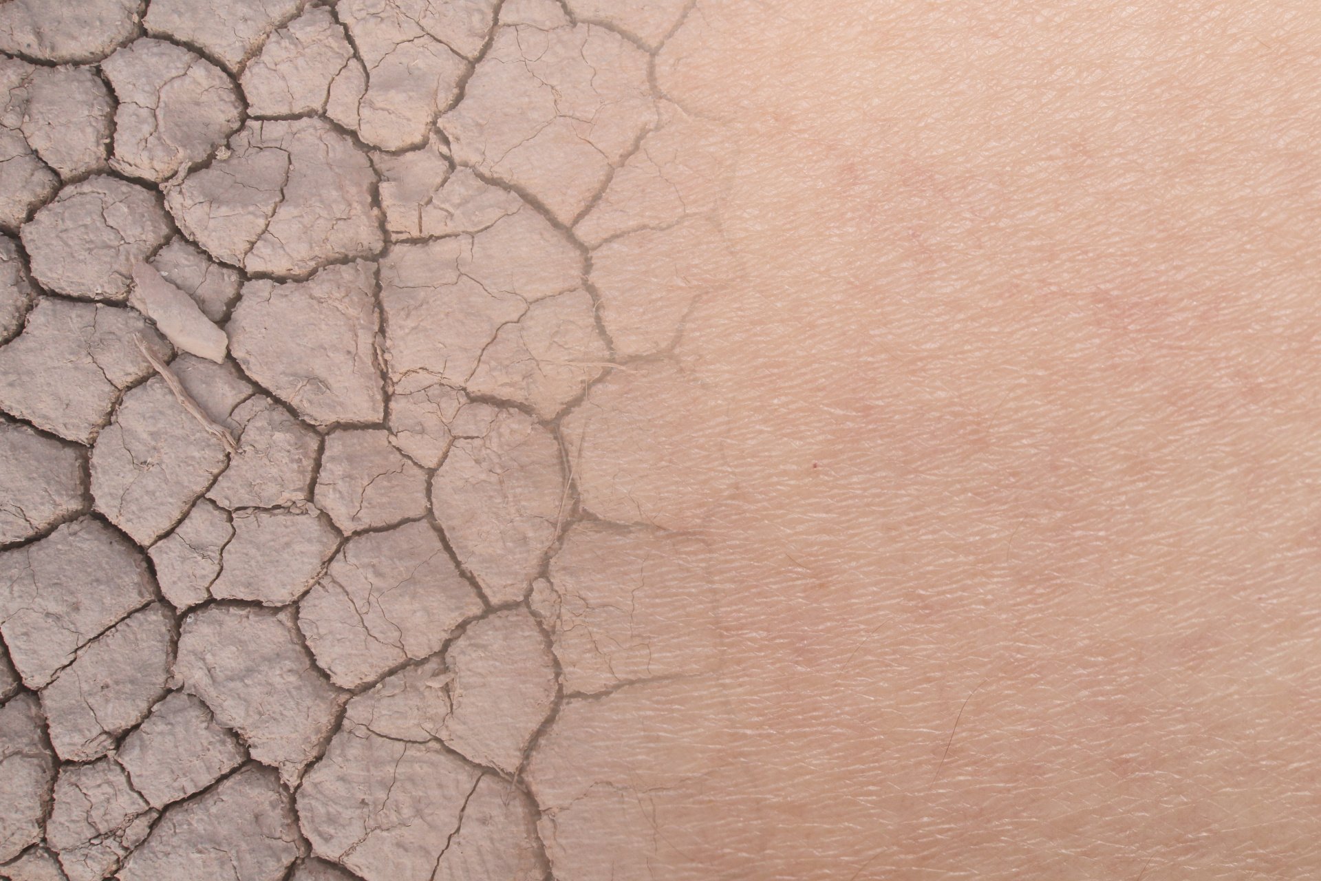Medico Fachinstitut für dermatologische Kosmetik