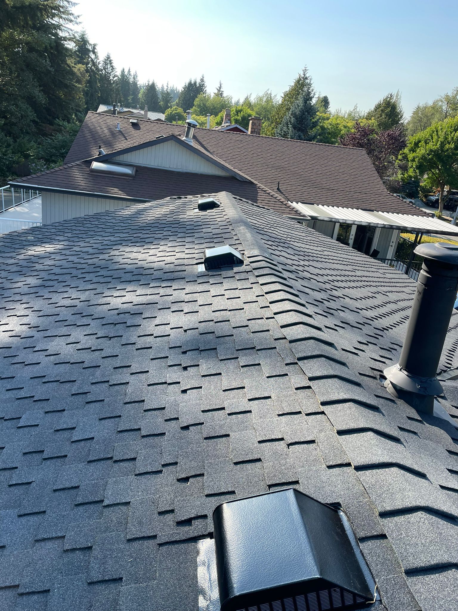 Asphalt Shingle Roofing | Paragon Roofing BC