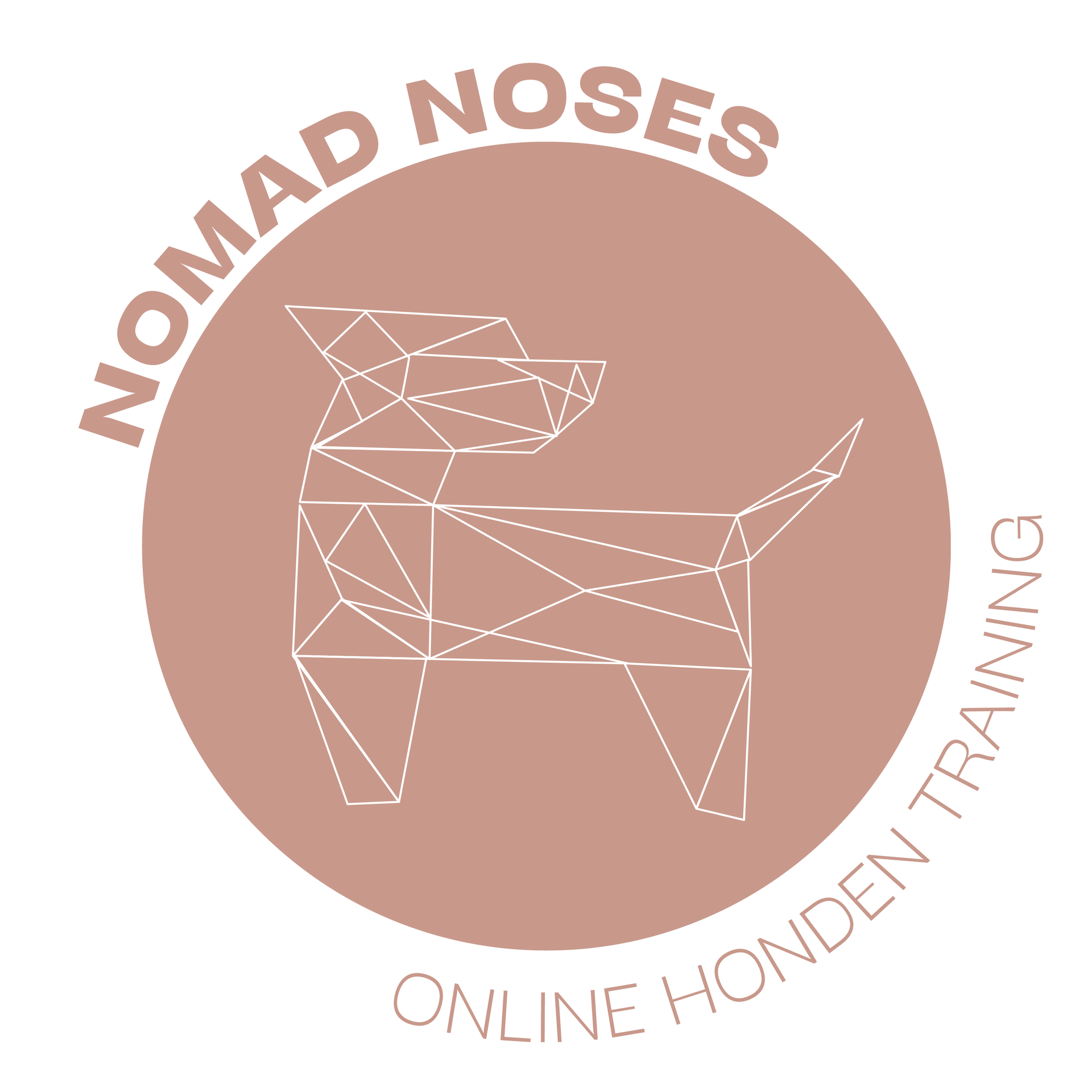 Online Dierenarts & Reiki | Nomadvet | hele wereld