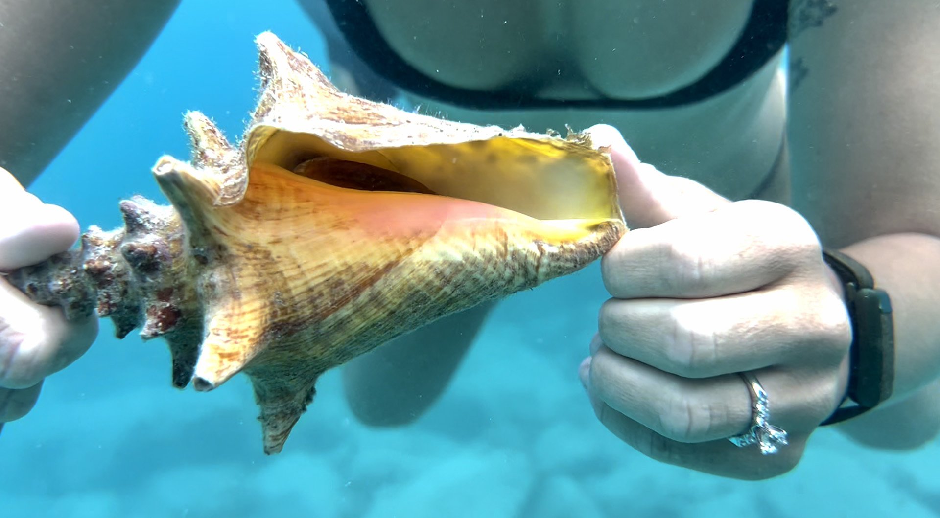 Gallery | Someday Charters US VI