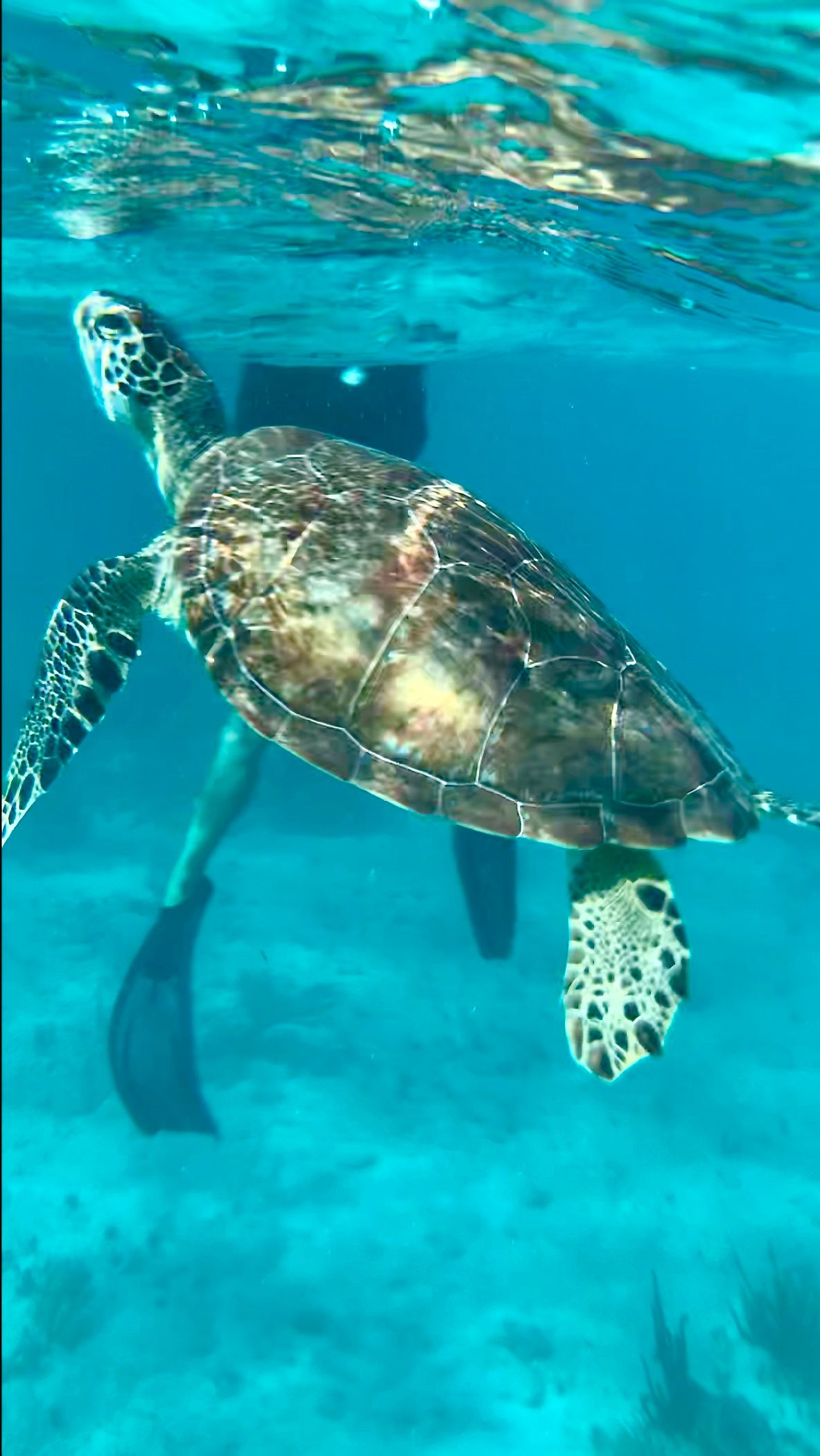 St. John Snorkeling & Cays Full Day Charter | Someday Charters US VI