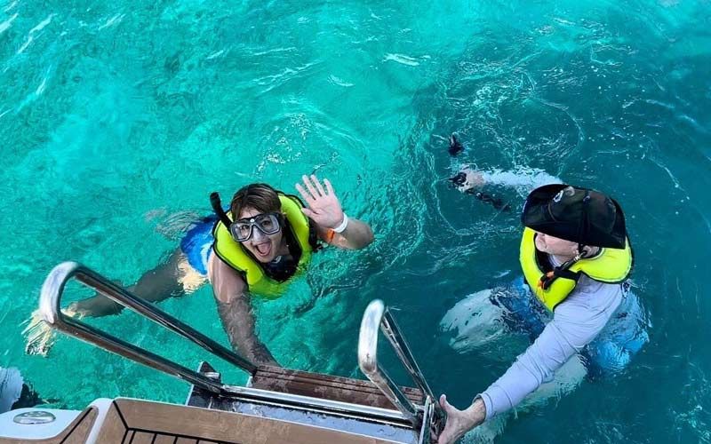 St. Thomas Snorkeling, Turtle, & Beach Adventure Half Day | Someday ...