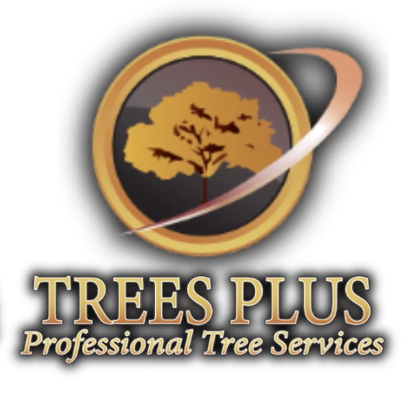 Tree Service in Portage, IN serving NW Indiana