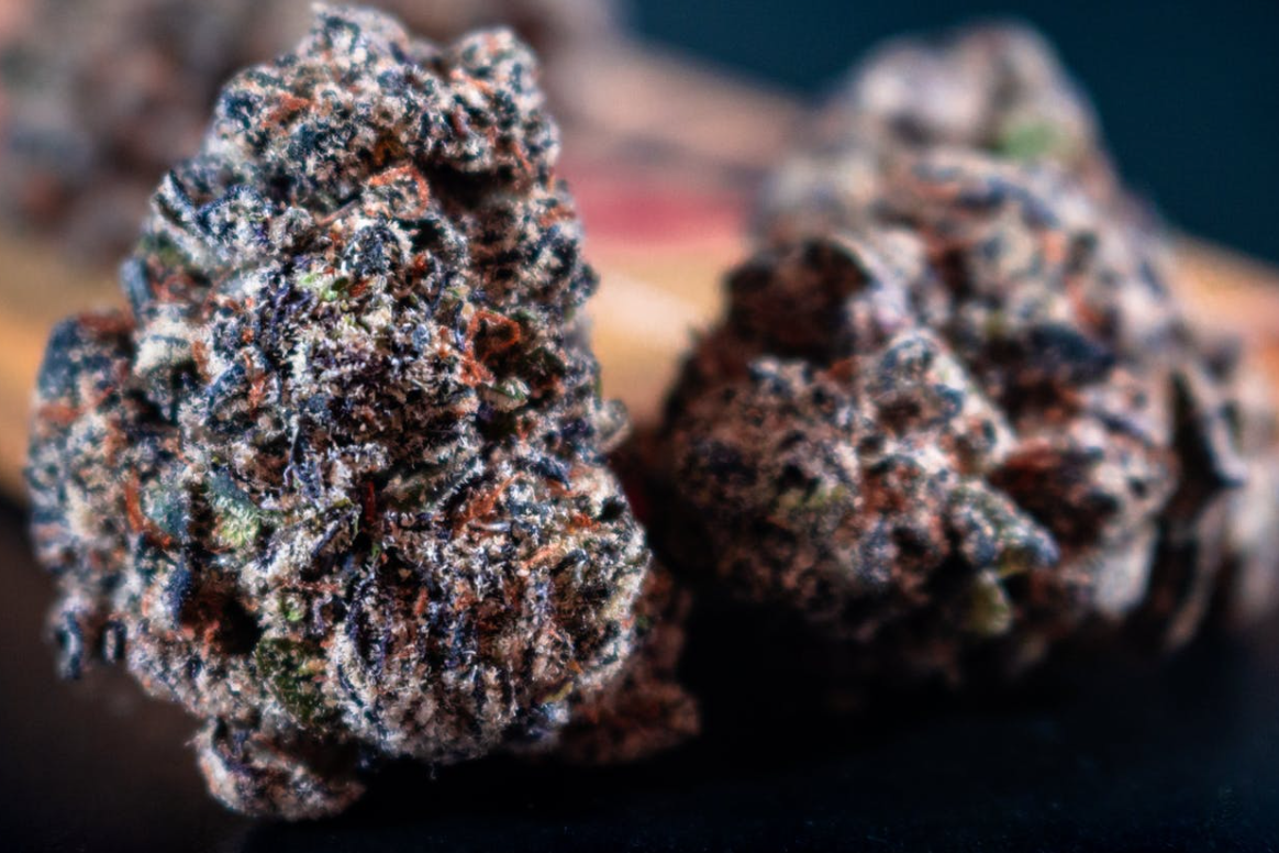 CBD vs CBN vs THC: What’s the Difference and Which One Should You Use?