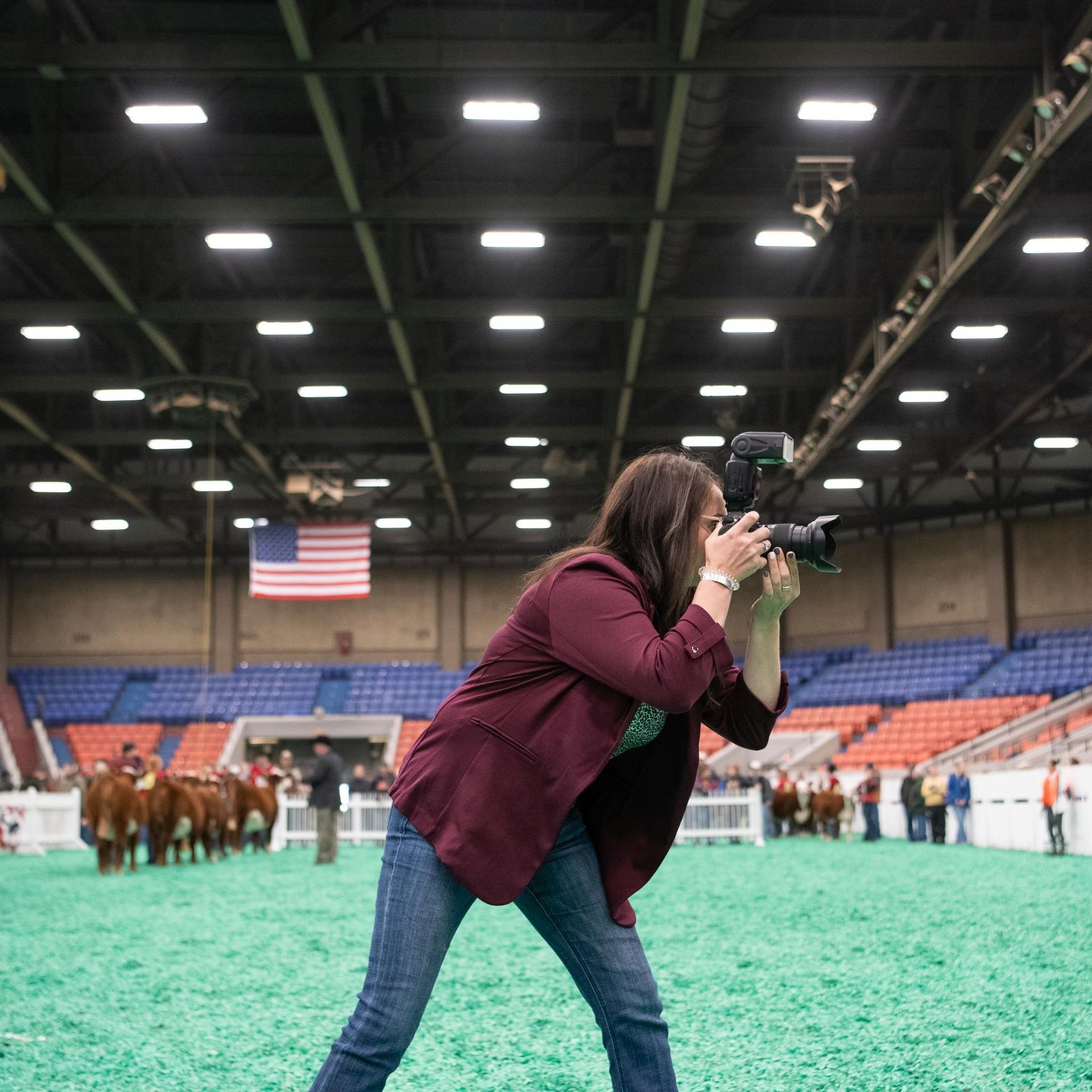 Meet Our Award-Winning Team | Linde's Livestock Photos