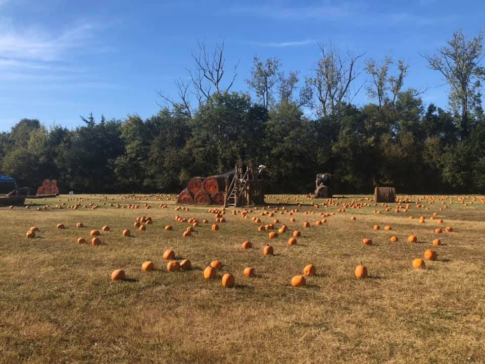 Annual Pumpkin Patch | Tupelo Buffalo Park | Since 2001 | Tupelo, MS