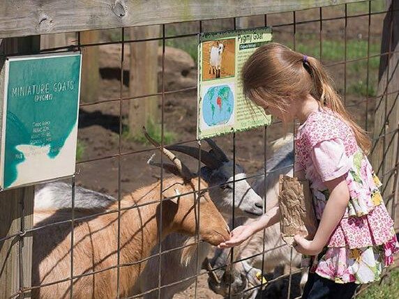 Reservations | Tupelo Buffalo Park and Zoo | Since 2001 | Tupelo, MS