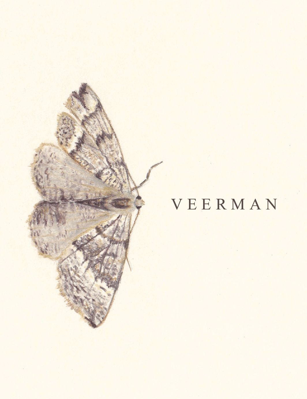 Max Havelaar, romantiek of realisme?