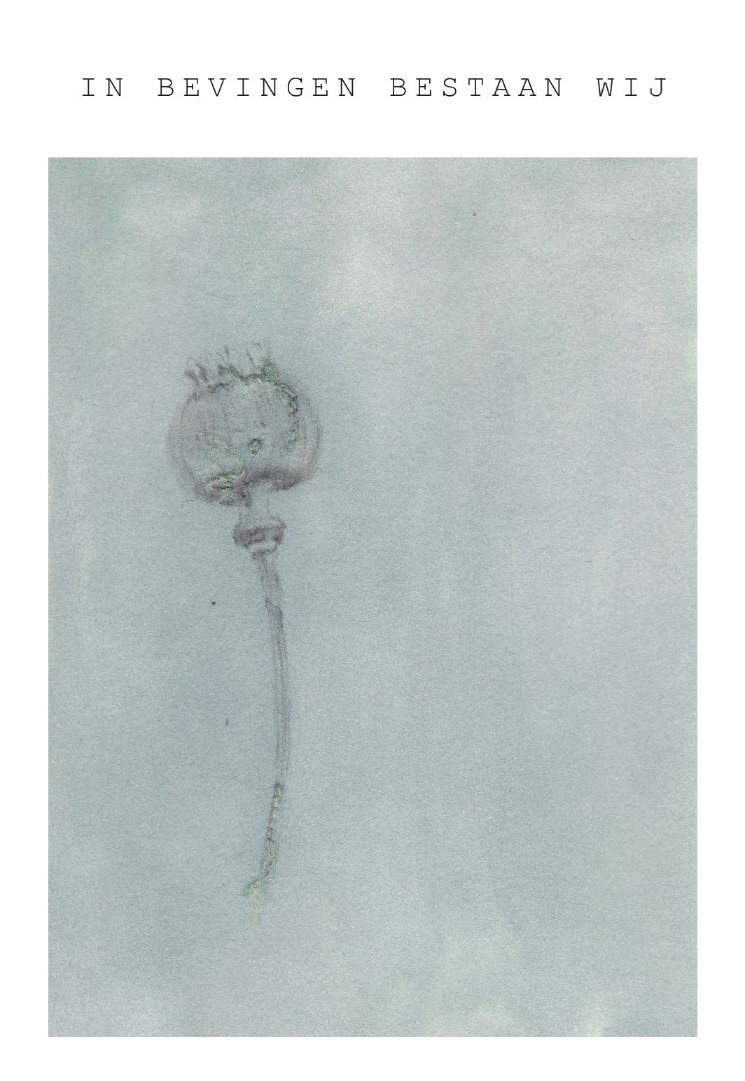 Max Havelaar, romantiek of realisme?