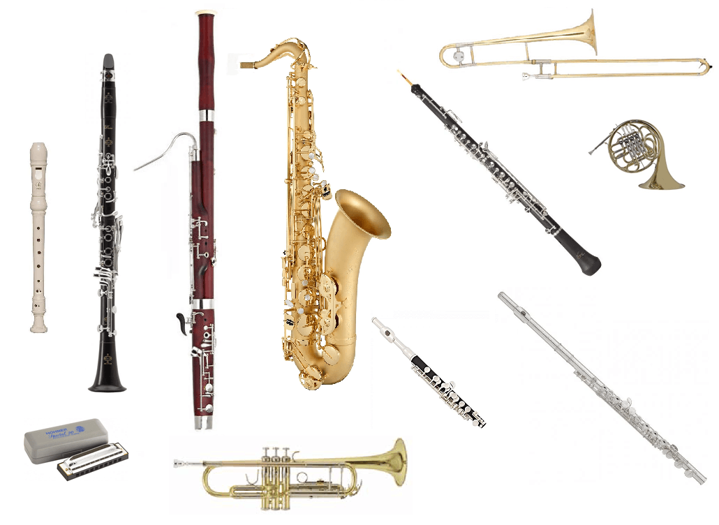 Negozio di Strumenti Musicali | Palermo Sicilia | Sacco Strumenti Musicali
