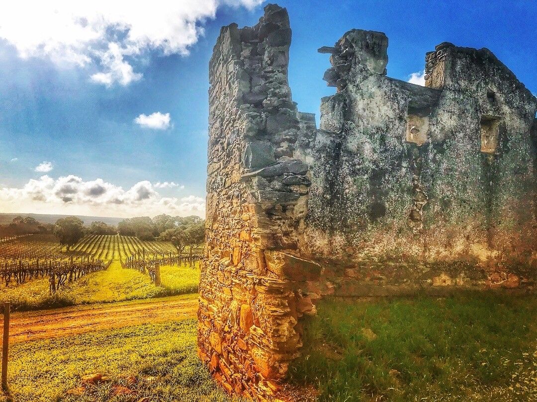 Spring Seed Wine Co. | McLaren Vale Wines | EPICUREAN WINES