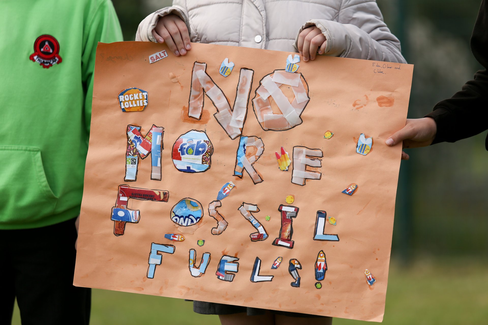 Wildlife Conservation Gallery | Conservation Without Borders