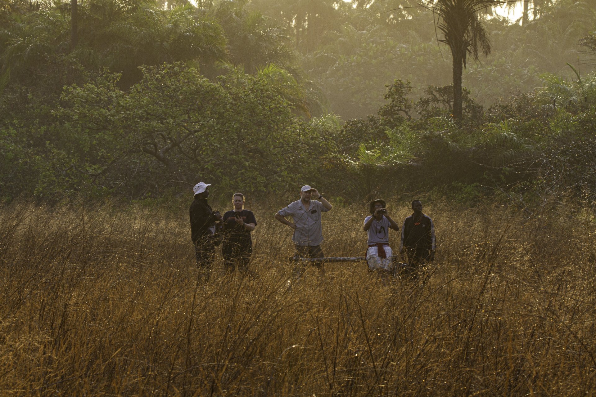 Wildlife Conservation Gallery | Conservation Without Borders