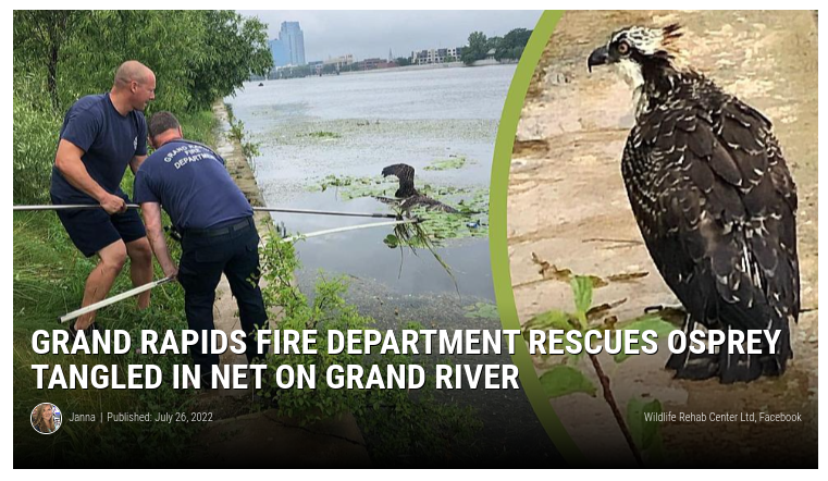 Everyday heroes: Tales of osprey rescues