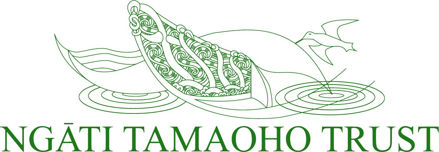 Te Kaupapa Collective