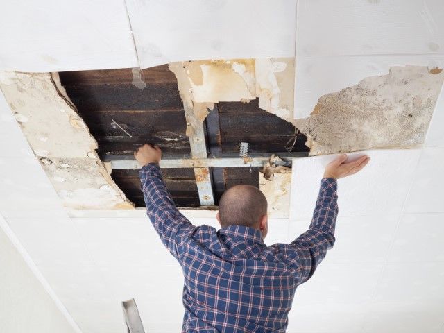 Dragon Drywall Repair - Dragon Drywall Repair, Melbourne FL