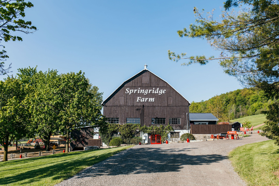 The Best Farms in Ontario for Family-Friendly Fall Activities