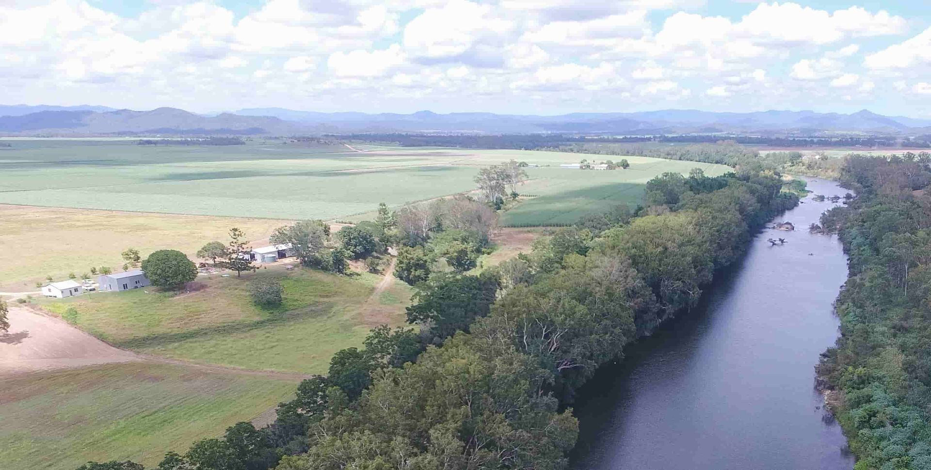 Active Tree Fellas | Arborists in Hervey Bay