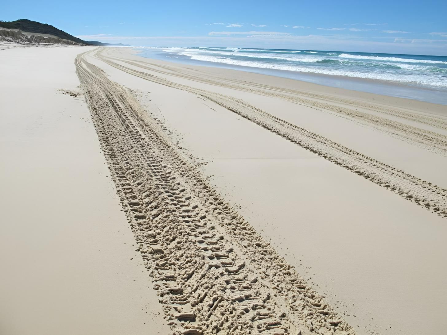 Active Tree Fellas | Arborists in Hervey Bay