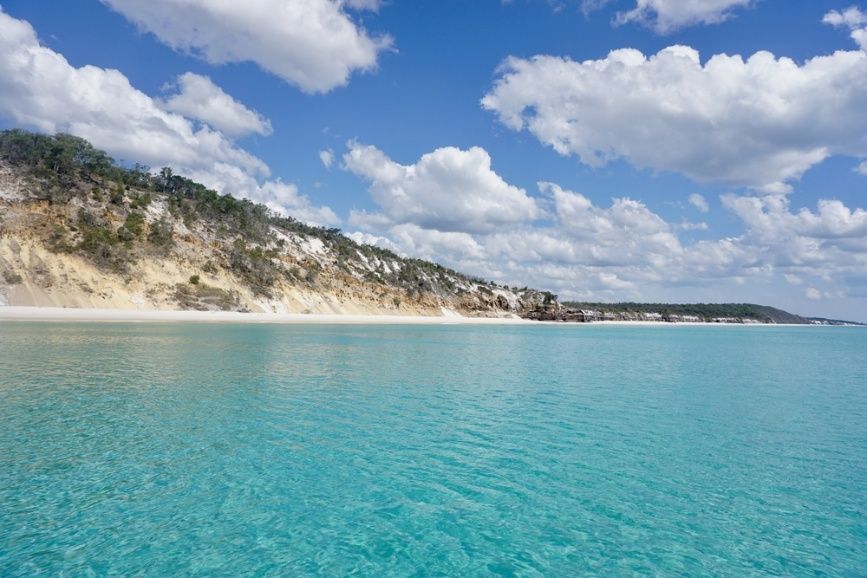 Active Tree Fellas | Arborists in Hervey Bay