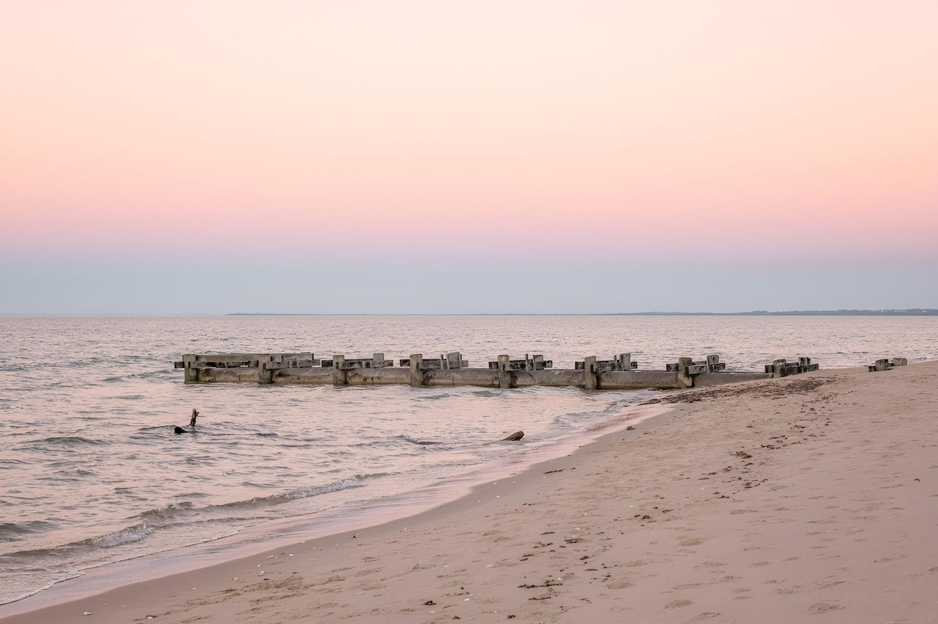 Active Tree Fellas | Arborists in Hervey Bay