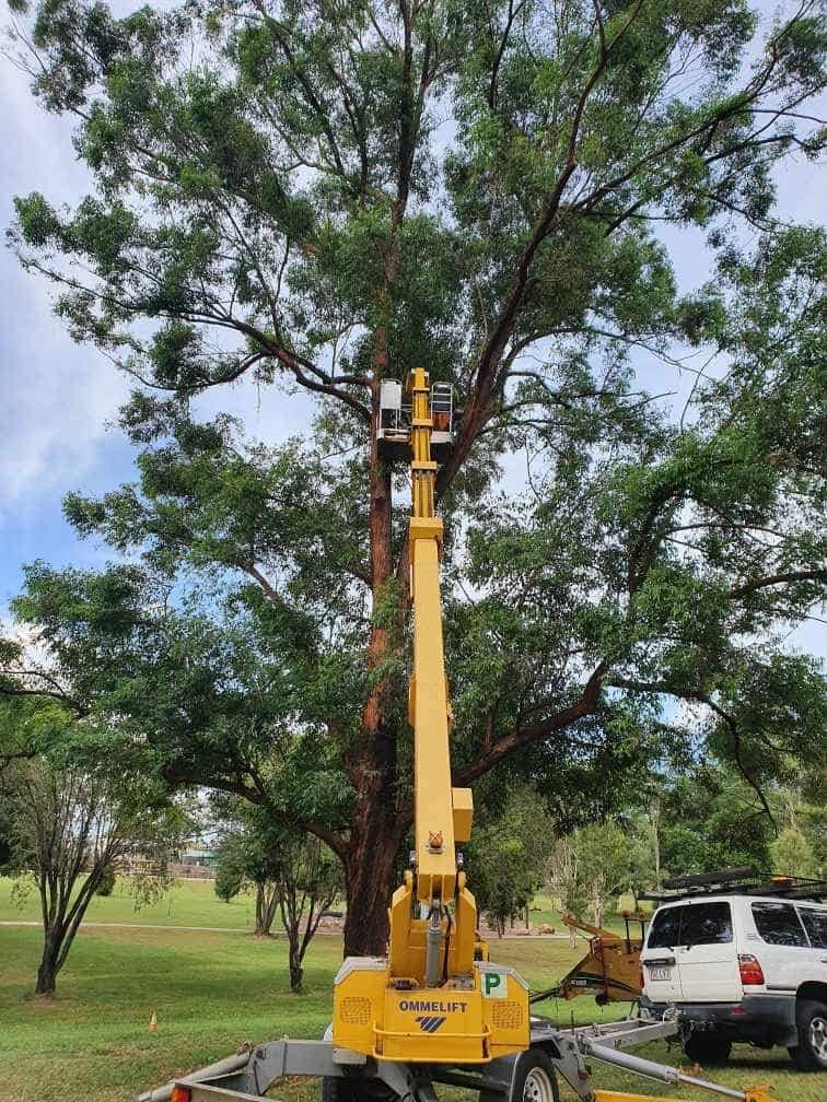 Our Equipment | Active Tree Fellas